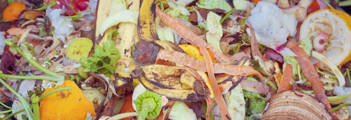 A Commercial Garbage Disposal Alternative Helps Sustainability Efforts
