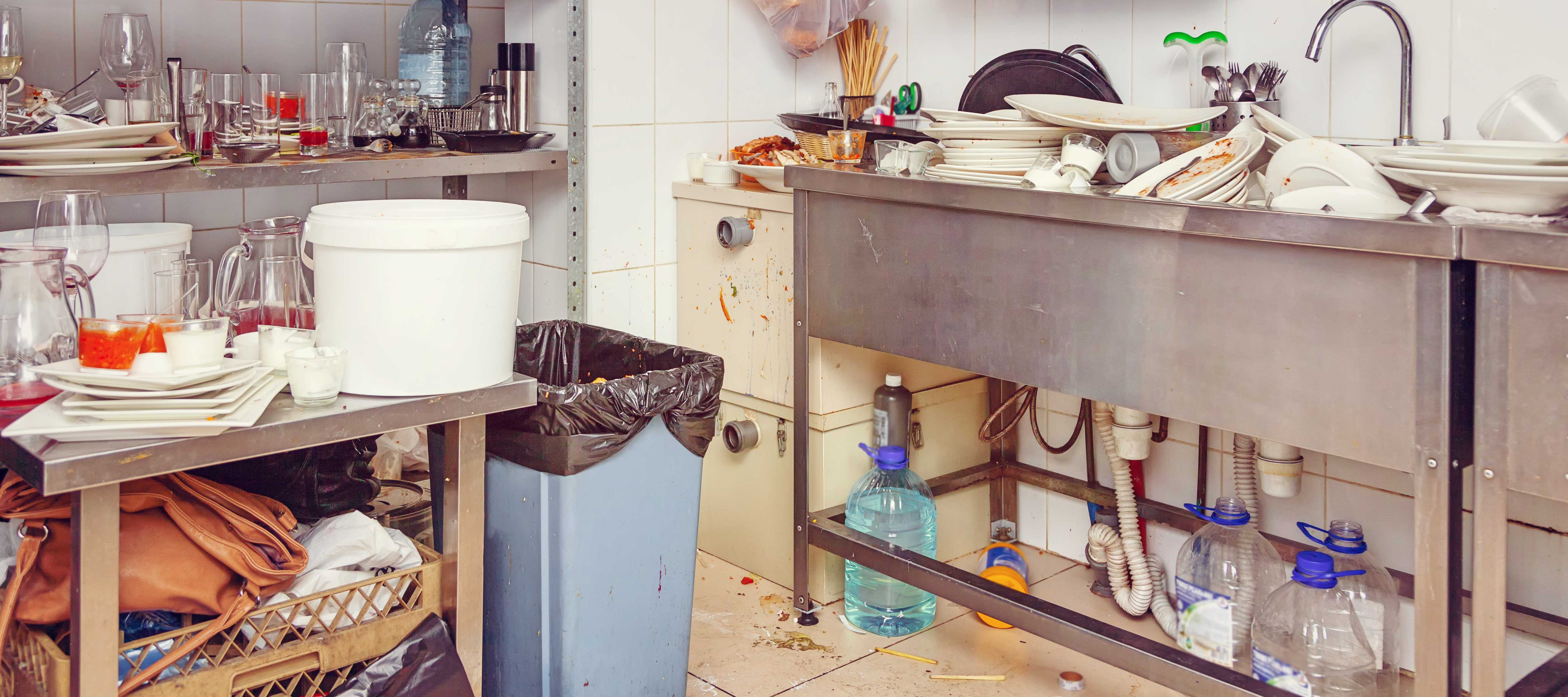 Eliminate Mold and Pests With Our Wet Waste Interceptor