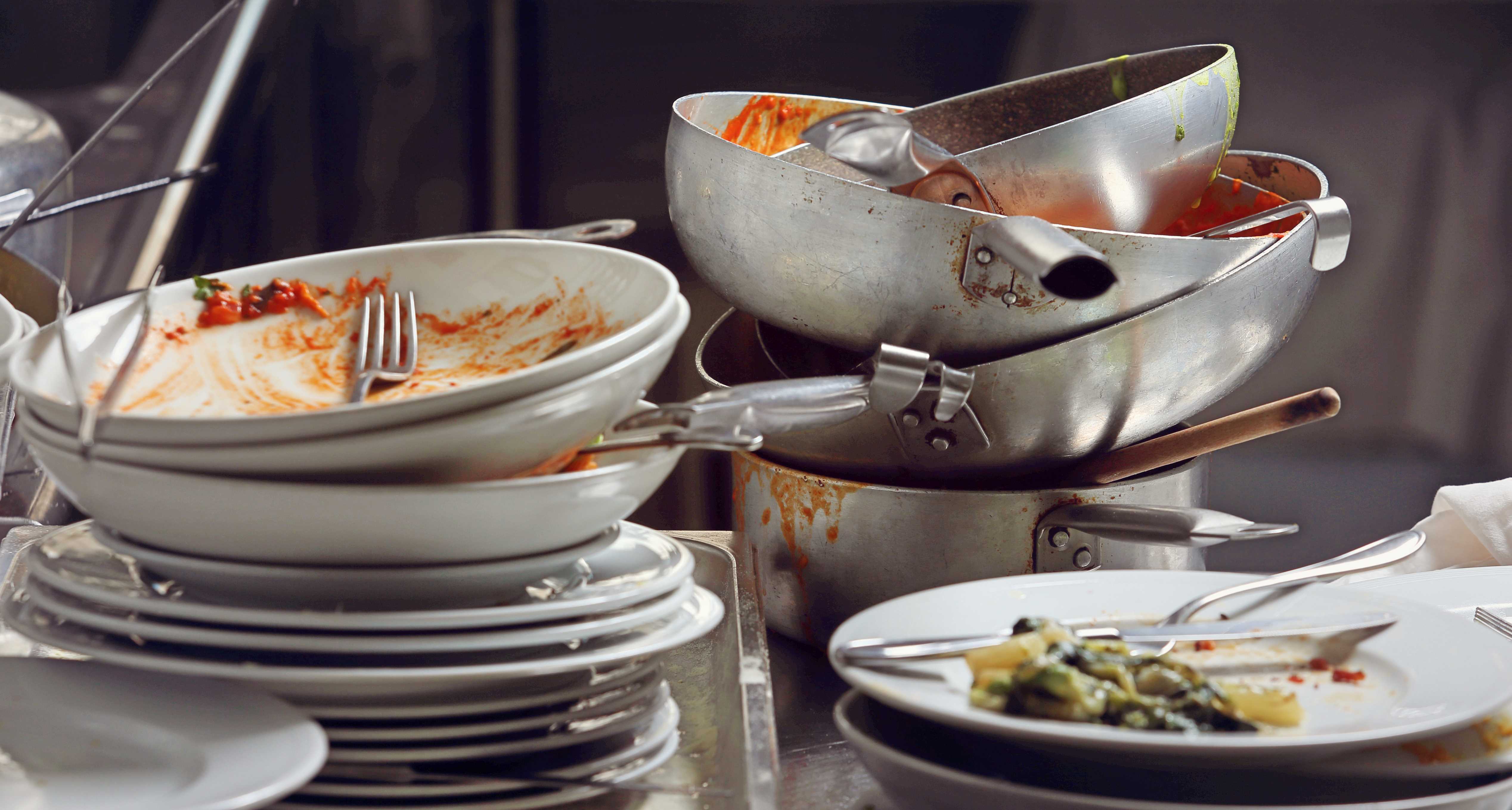 Avoid Dishroom Backups Commercial Garbage Disposal Alternative